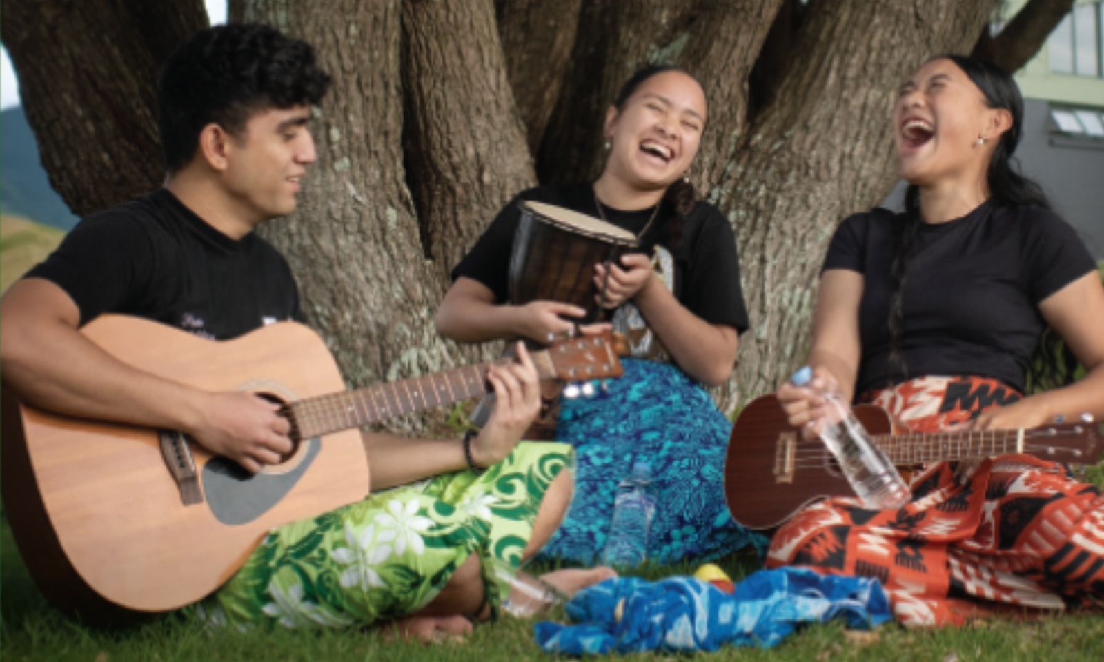 Call for govt to prioritise Pacific people struggling with language and ...