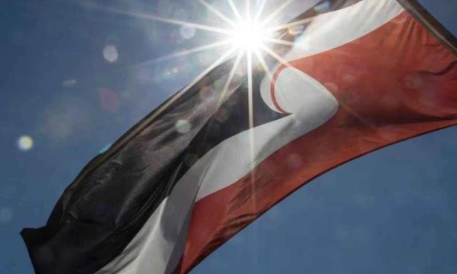 Te Tiriti: Flags will be flying high at the Waitangi, but what do they ...