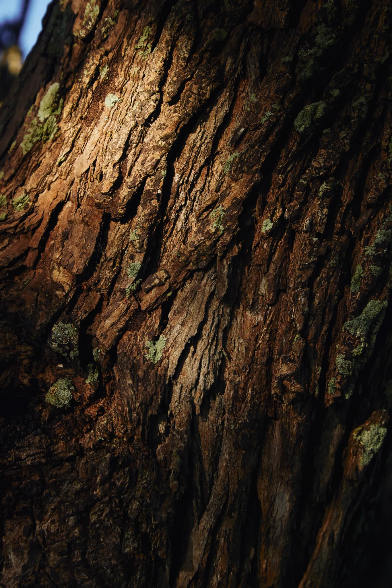 Home [www.higherground.org.nz]