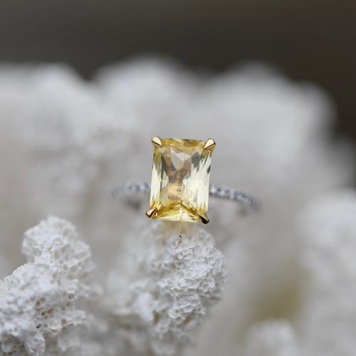 Shop | Nangi Fine Jewelry