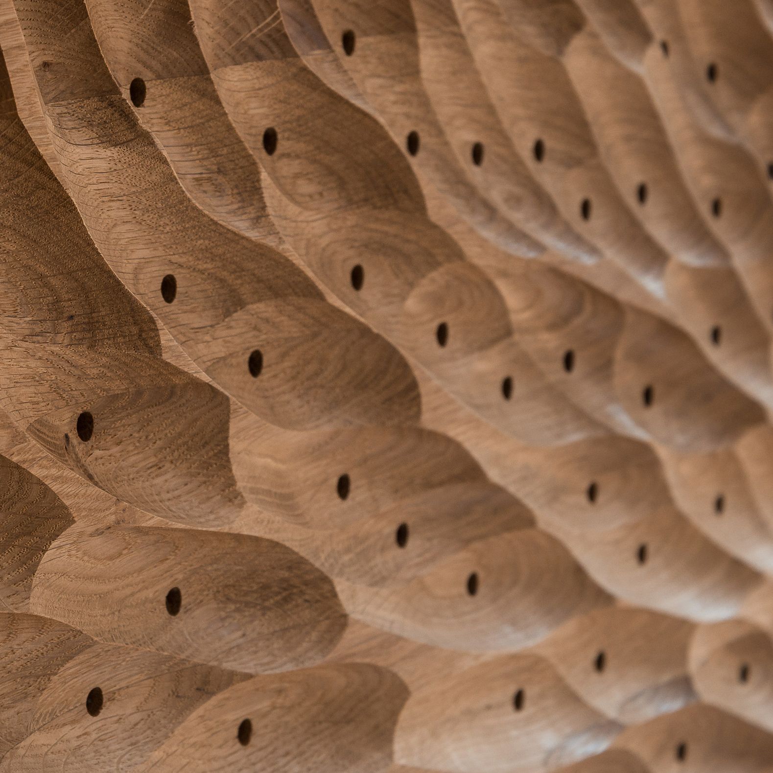 Formfeld 1, Akustisches Wandpaneel, Eiche Natur, Lochperforiert, Nahaufnahme