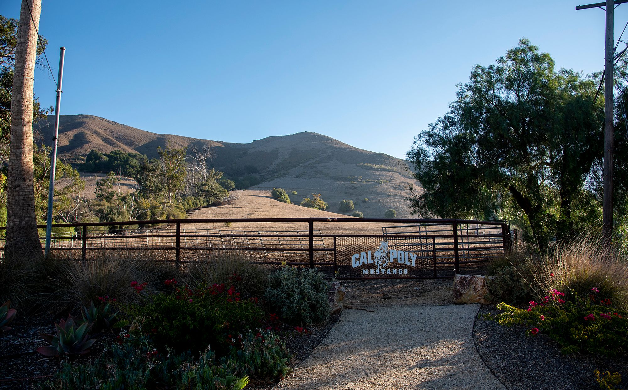 Faculty and Staff Housing Update | Inside Cal Poly