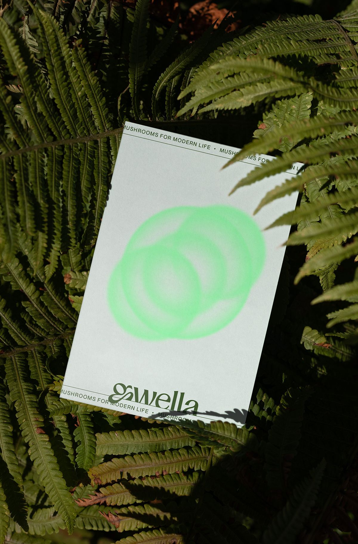 Gwella