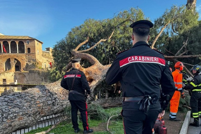 Fori Imperiali, riapertura totale dal 23 febbraio dopo gli abbattimenti ...