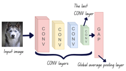 How To Explain ConvNet Predictions Using Class Activation Maps Pinecone