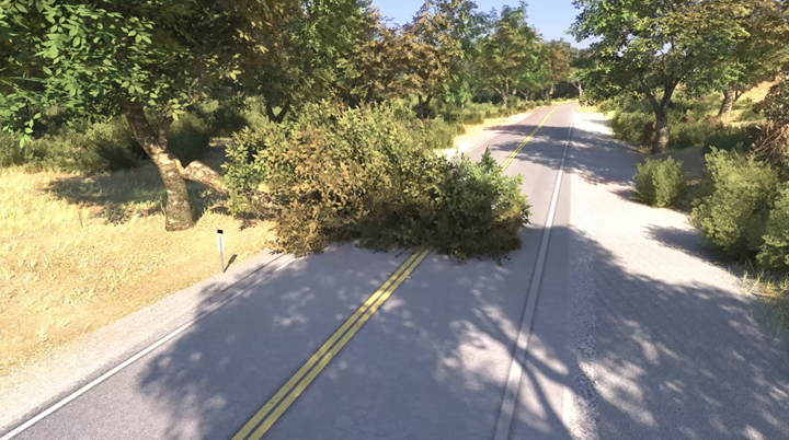 Motorcyclist's Extensive Injuries from Tree Branch Collapse | 3D Forensic