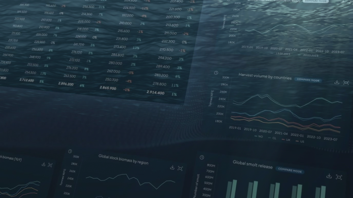 Salmon outlook 2026 and downstream developments : Margins under pressure?