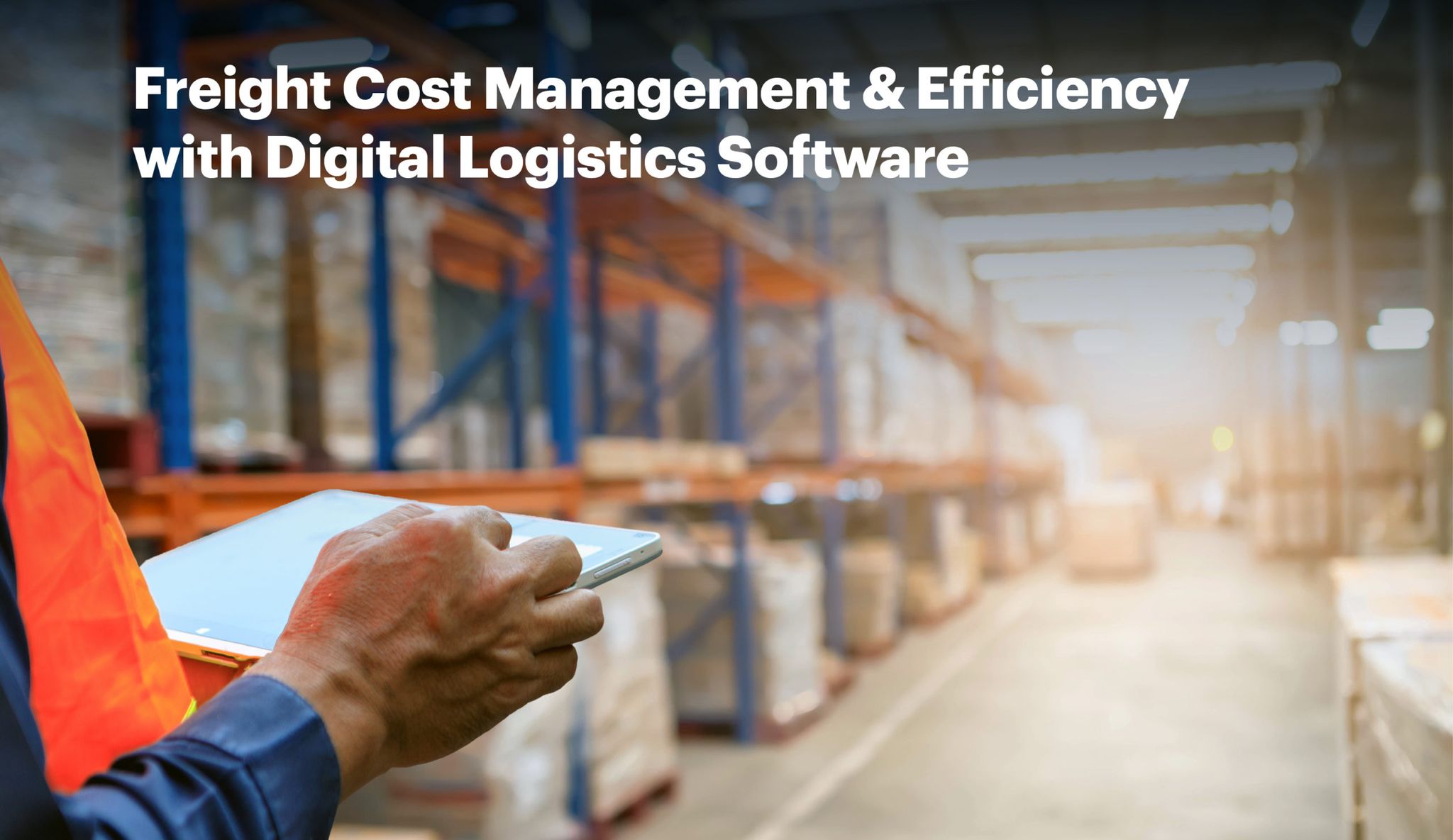 Mastering Freight Cost Management with Logistics Software - Logisoft