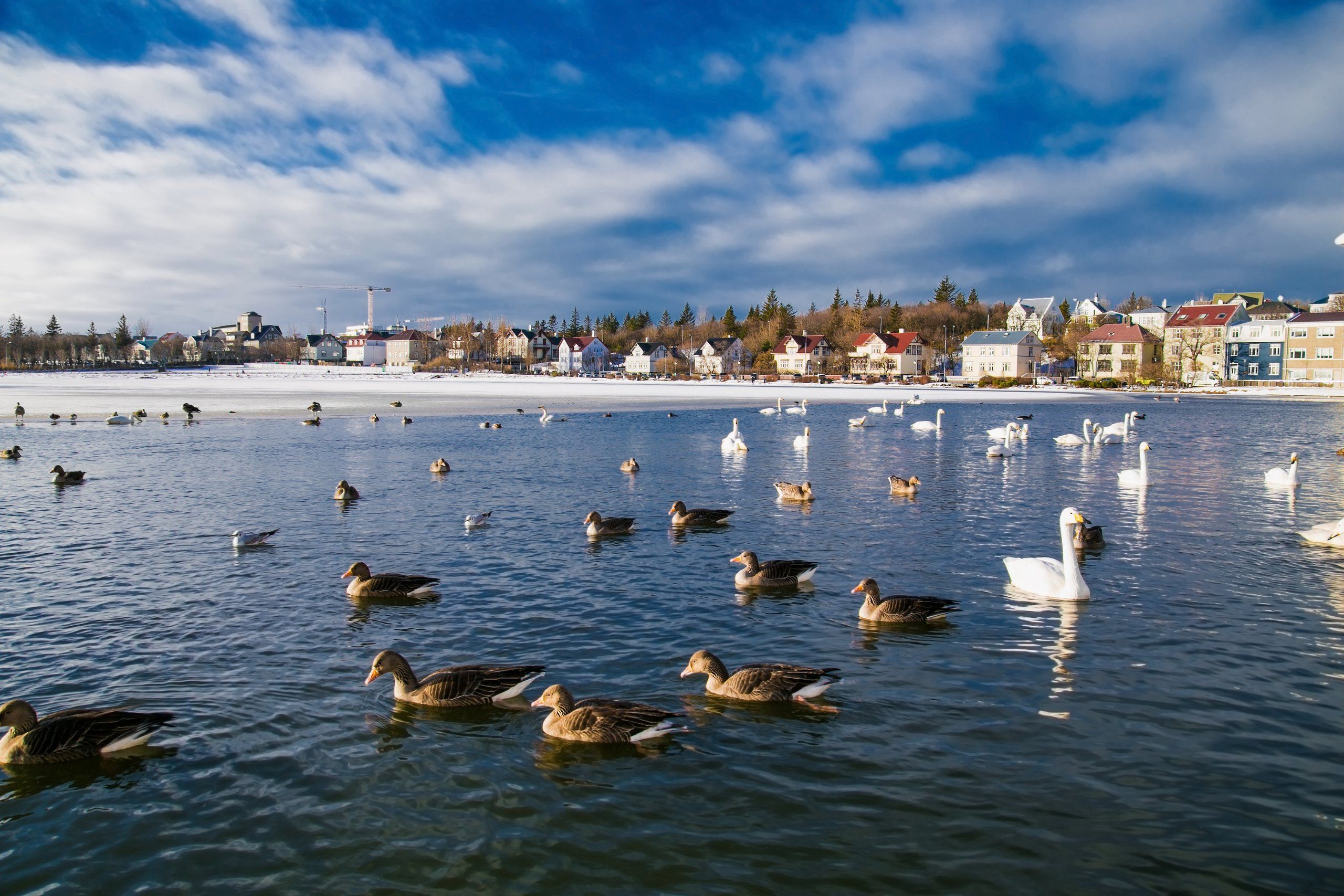 Golden Circle From Reykjavik | Distance, Tours & Tips