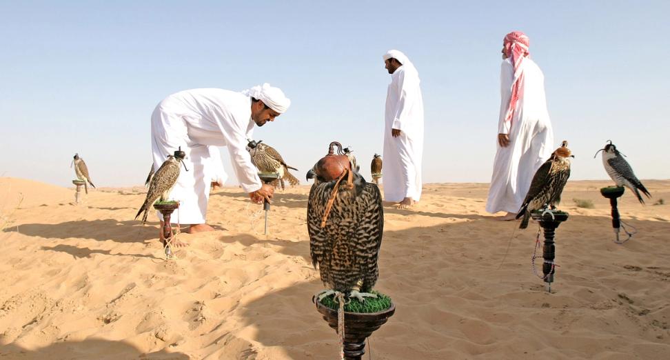 Arabian Flights: Inside the lucrative world of Middle-Eastern falconry ...