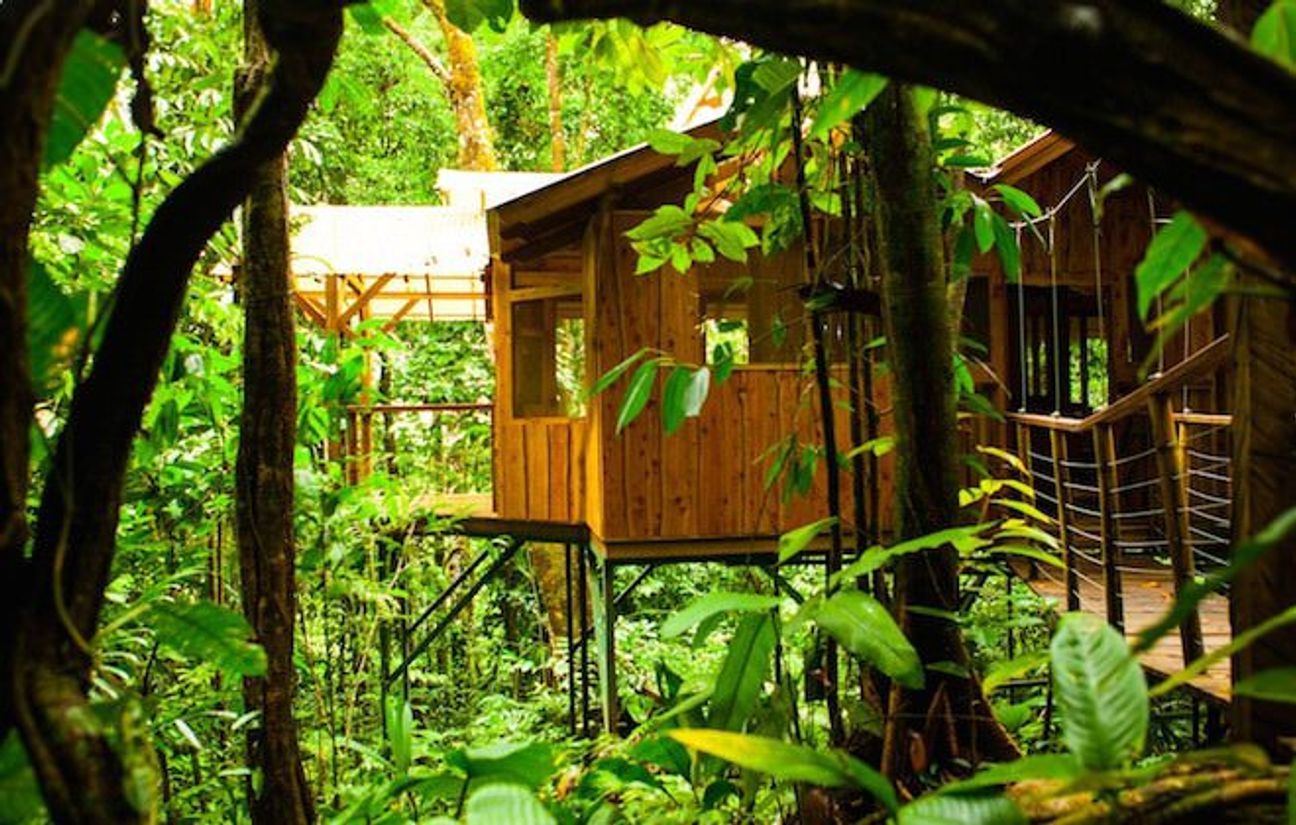TREE HOUSE LODGES – 7 OF THE HIGHEST QUALITY | The Gentleman's Journal ...
