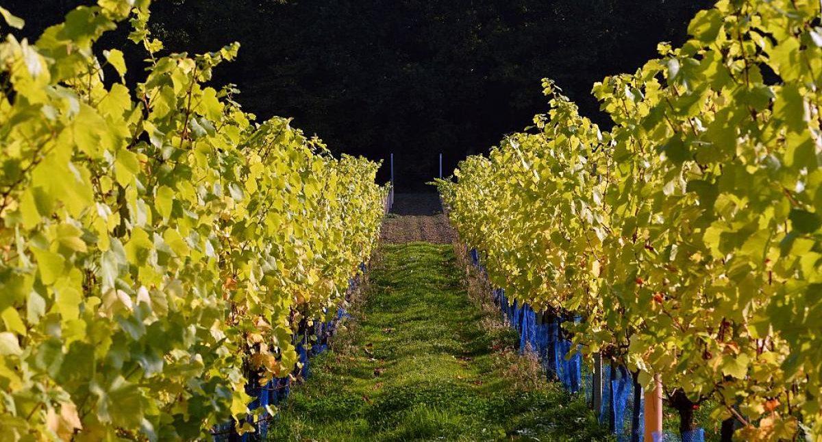 10 most common hobbies of the richest people in the world | The ...