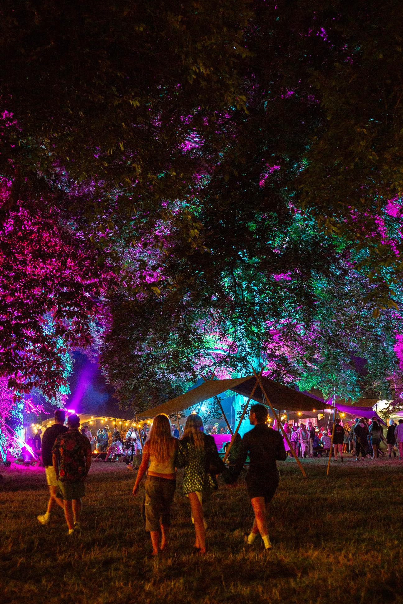 Wilderness 2025: What to expect from this summer's most idyllic event ...