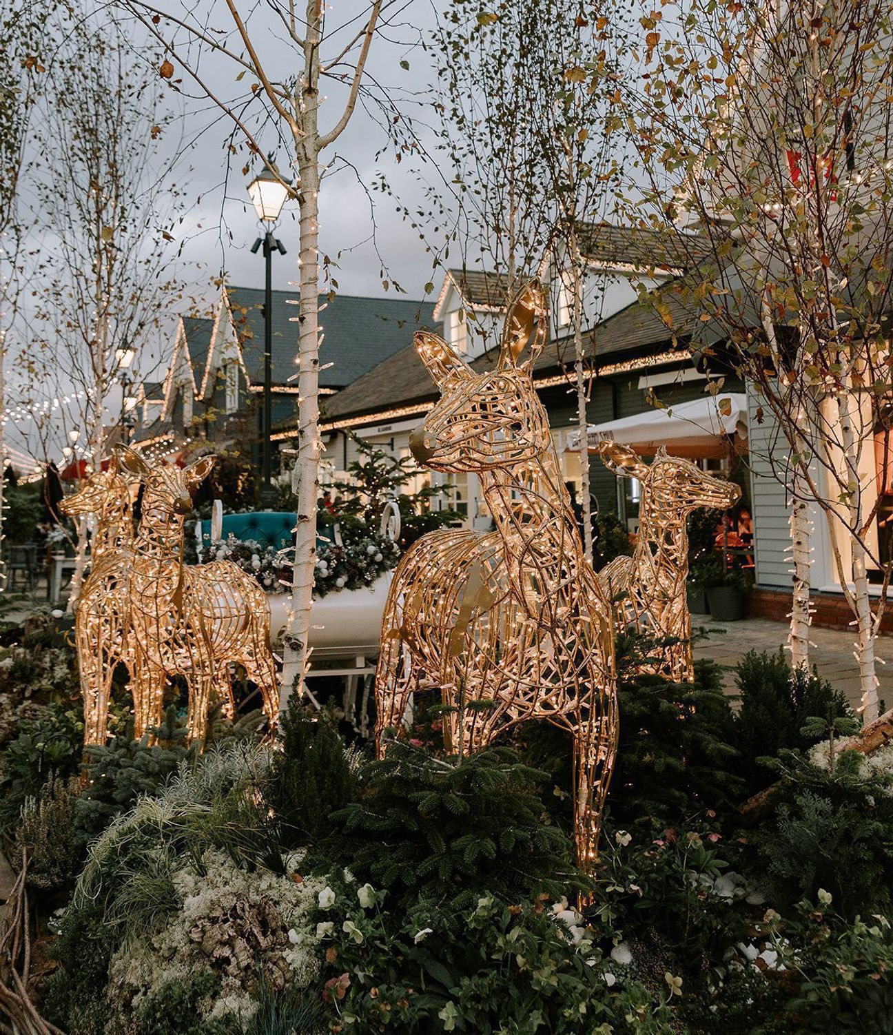 What should you buy the man who has everything this Christmas ...