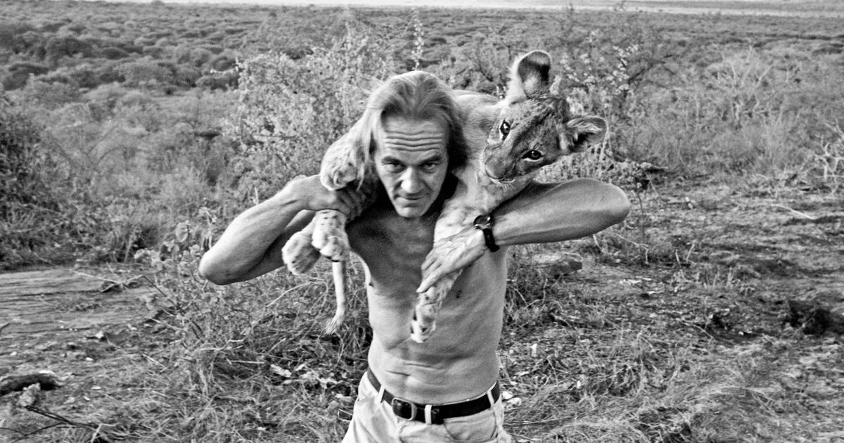 Lion-whisperer Tony Fitzjohn shares memories of bandits and wild beasts ...