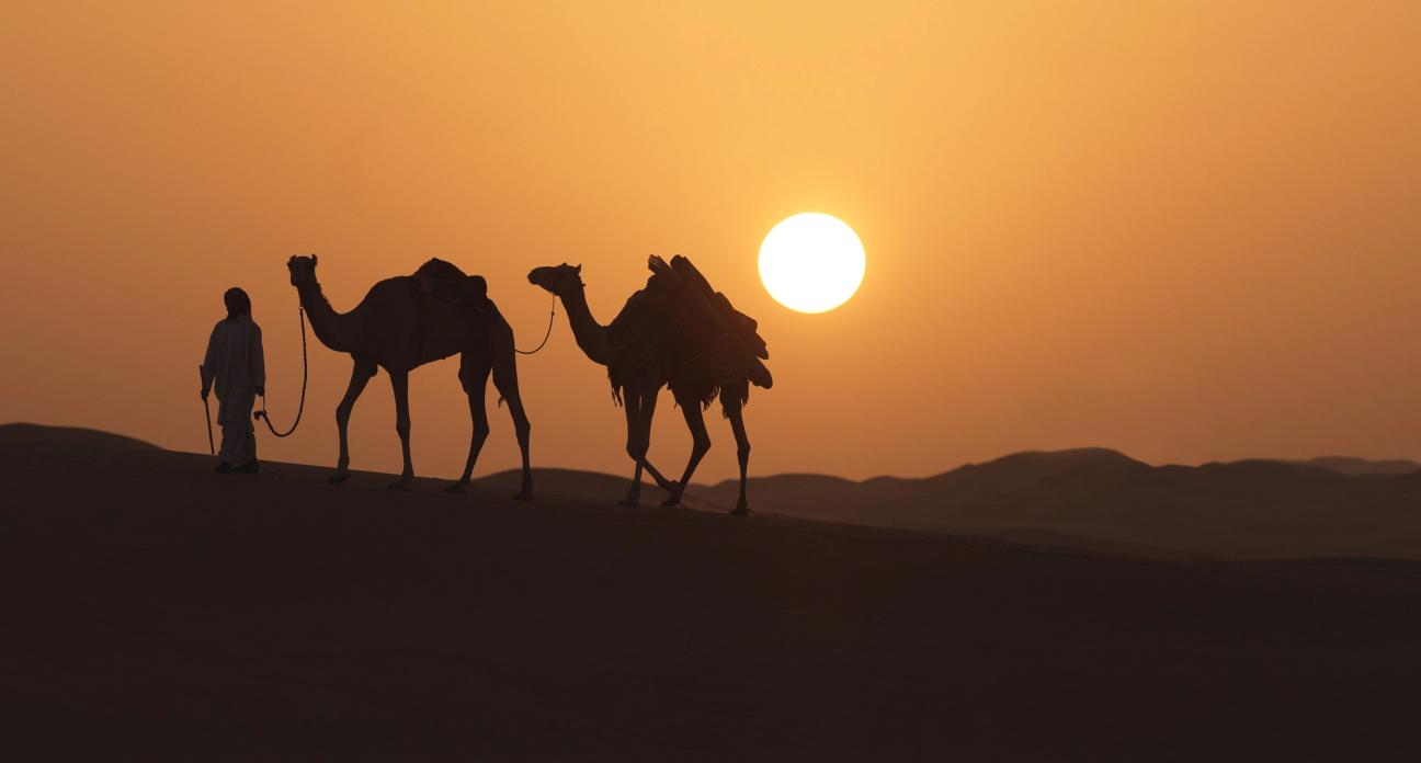 Arabian Flights: Inside the lucrative world of Middle-Eastern falconry ...