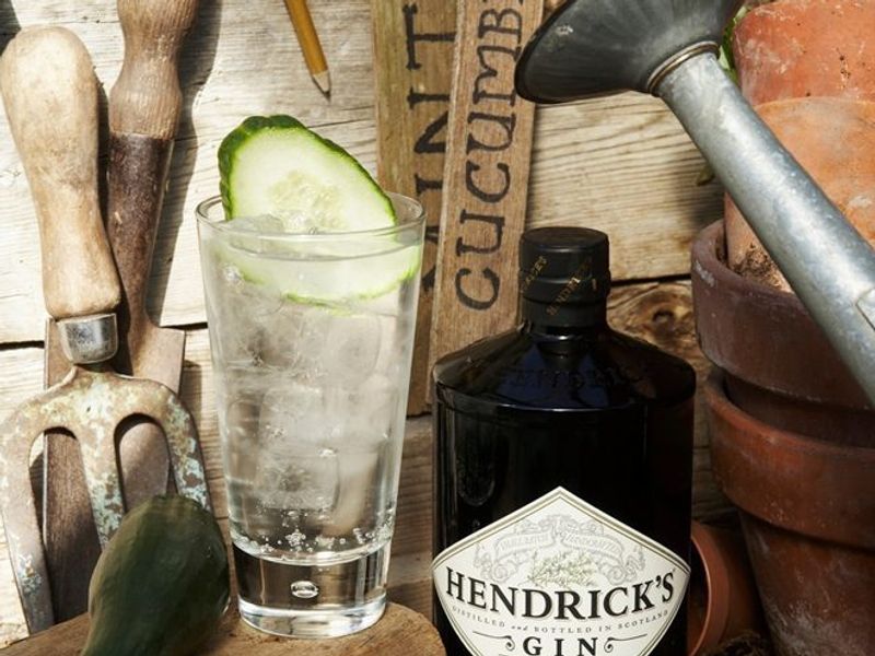The Hendrick’s Gin & Tonic | The Gentleman's Journal | The latest in ...