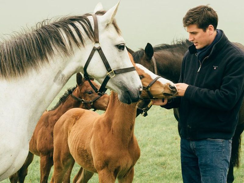Interview with Highclere Studs Jake Warren | Gentleman's Journal ...
