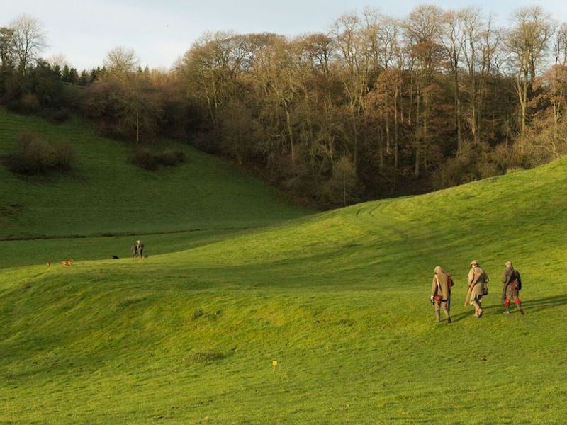 The finest countryside activities within a stone’s throw of the capital ...