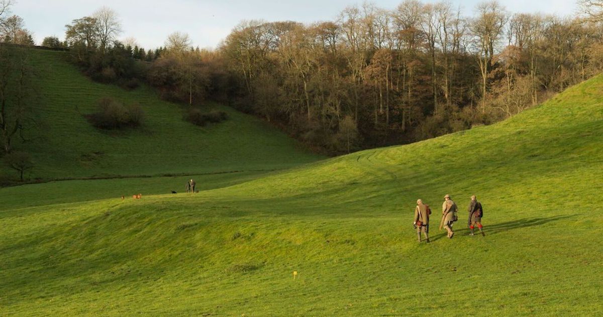 The finest countryside activities within a stone’s throw of the capital ...