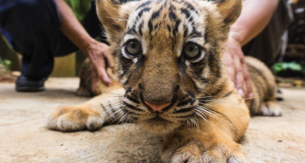 10 most common hobbies of the richest people in the world | The ...