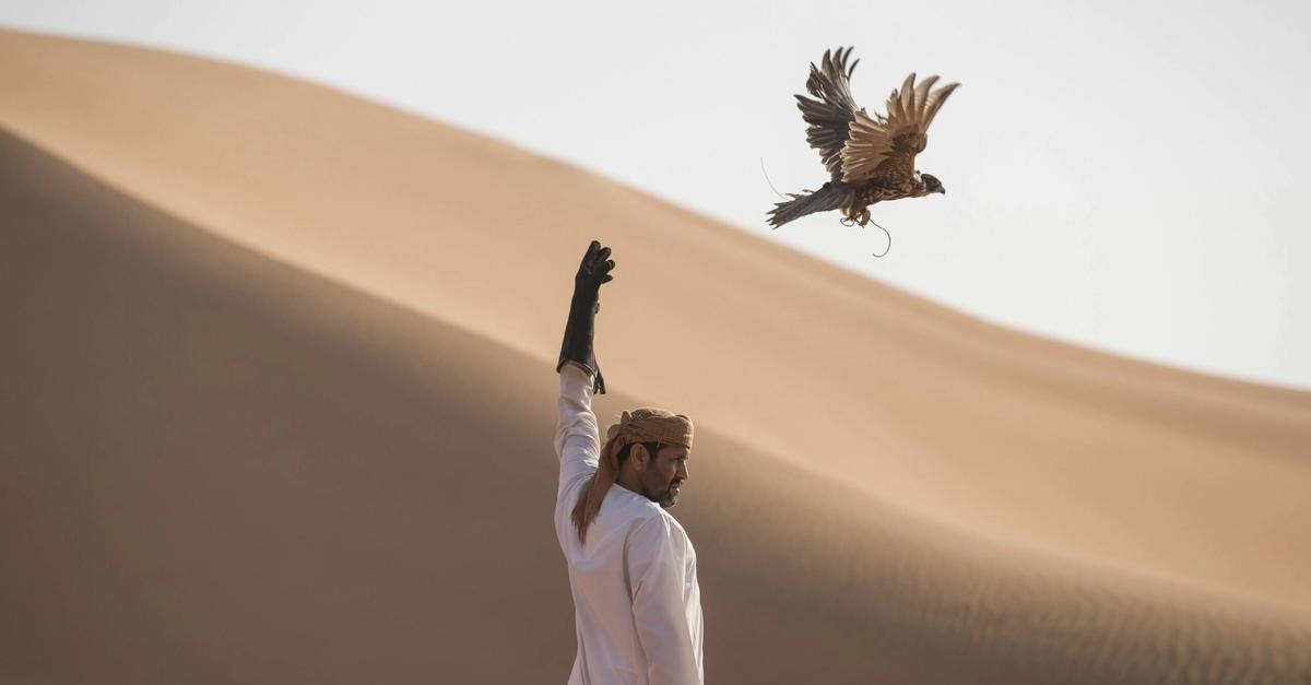 Arabian Flights: Inside the lucrative world of Middle-Eastern falconry | Gentleman's Journal ...