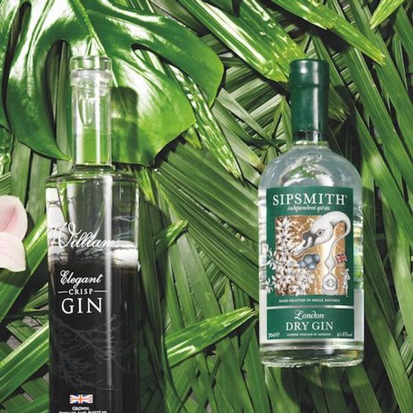 The best gins you can buy (and still have change from £40) | The ...