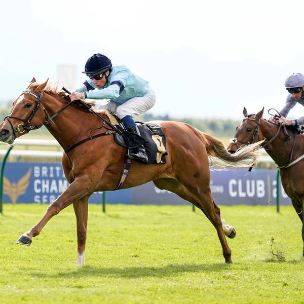 Risk and reward: what it really costs to own (or part-own) a racehorse ...