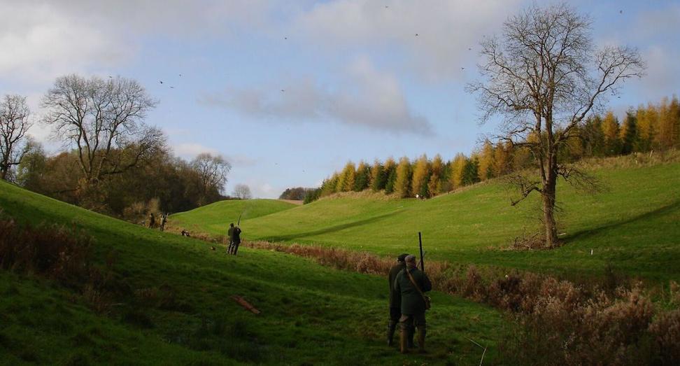 The finest countryside activities within a stone’s throw of the capital ...