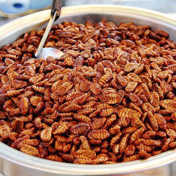 The most bizarre foods in the world | The Gentleman's Journal | The ...