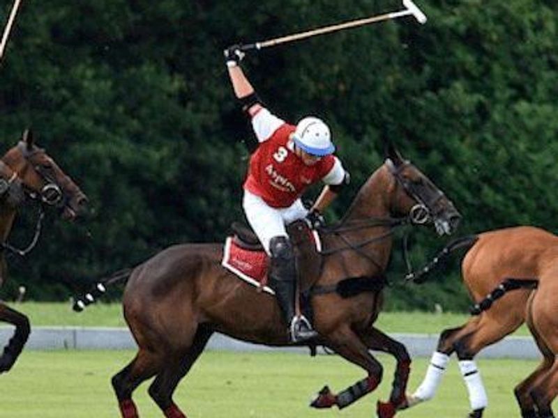Sport - Five Steps to the Perfect Polo Player | The Gentleman's Journal ...