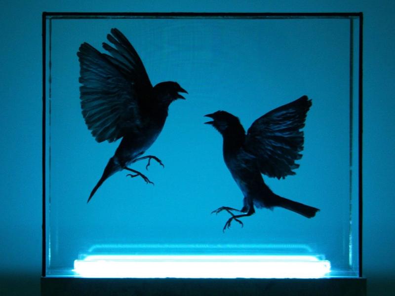 “The arts will mark this moment”: Trino Verkade of the Sarabande ...