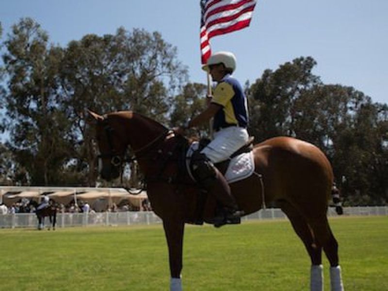 DIARY – BRITISH POLO LAUNCH IN THE USA | The Gentleman's Journal | The ...