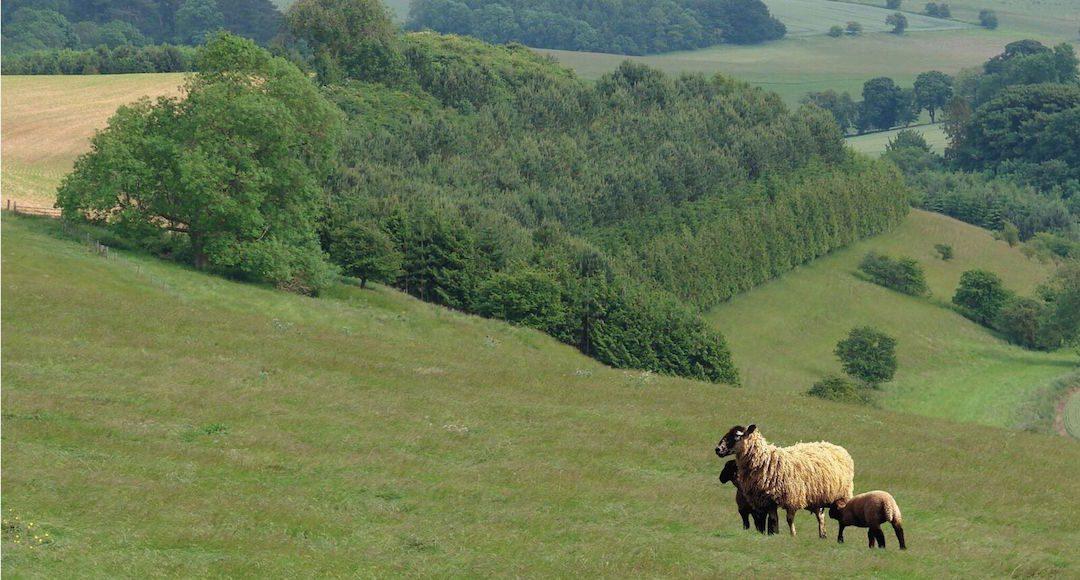 The finest countryside activities within a stone’s throw of the capital ...