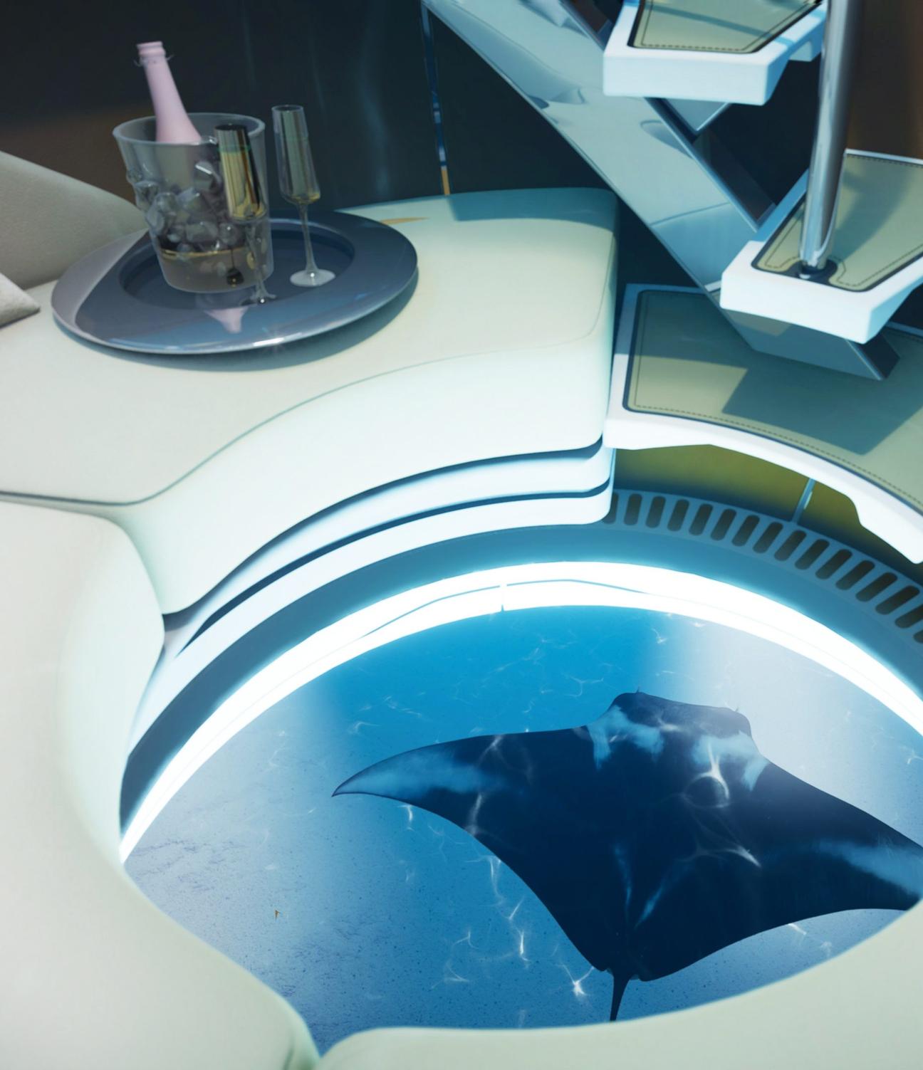 Diving into the expensive, exploratory world of personal submarines ...