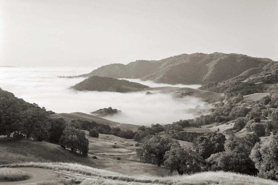 These are the best wines for Valentine’s Day | The Gentleman's Journal