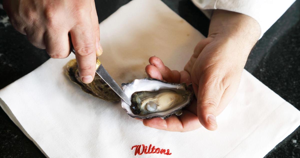 A top oyster chef explains how to serve the shellfish at home ...