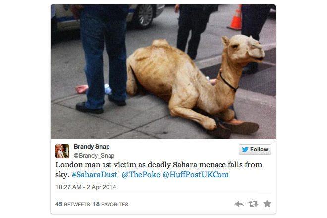 Funniest Reactions to the Sahara Dust | The Gentleman's Journal