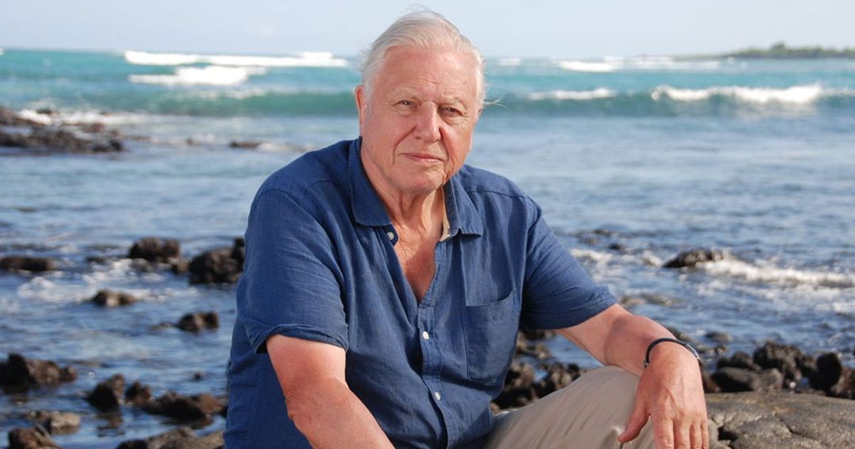 David Attenborough and his Blue Planet sequel | The Gentleman's Journal ...