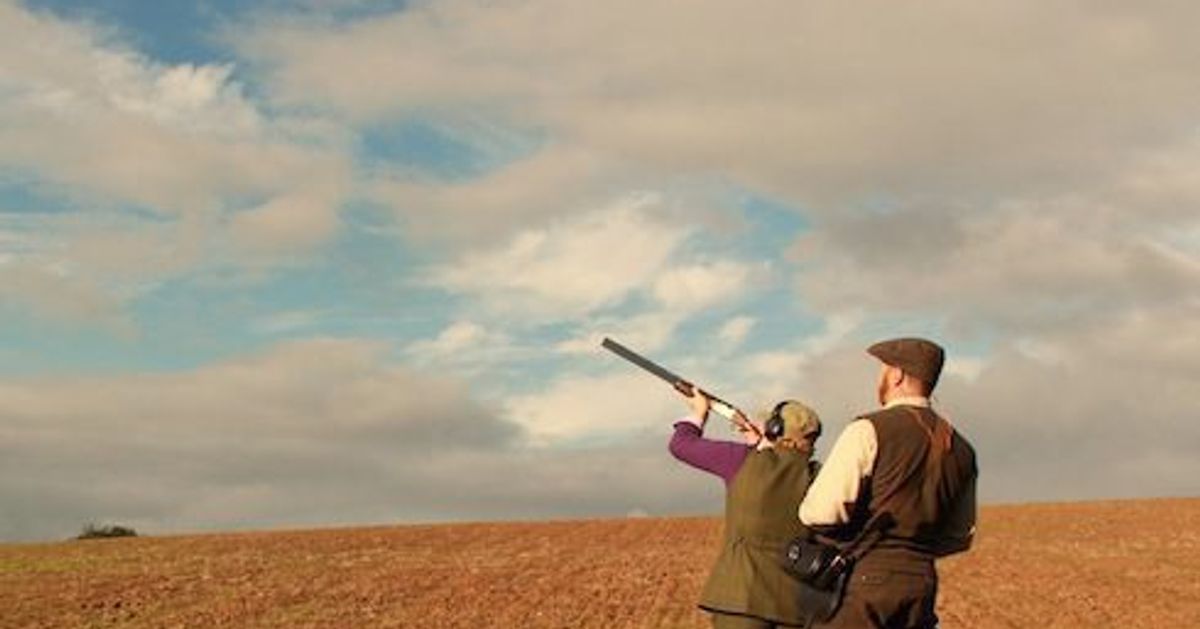 What are the UK’s best driven shoots? Have your say... | The Gentleman ...