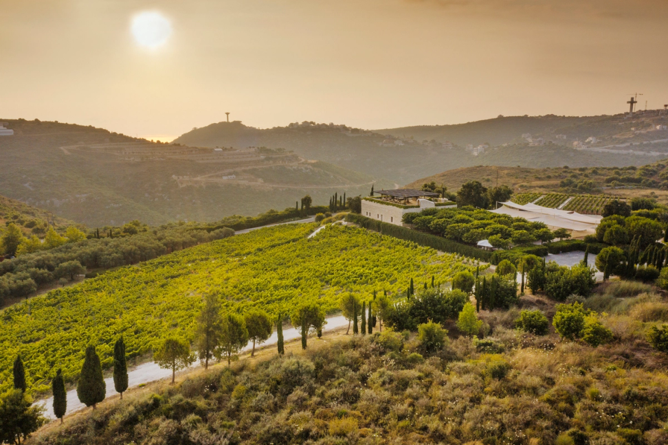 Why you should be drinking more Lebanese wines | The Gentleman's Journal