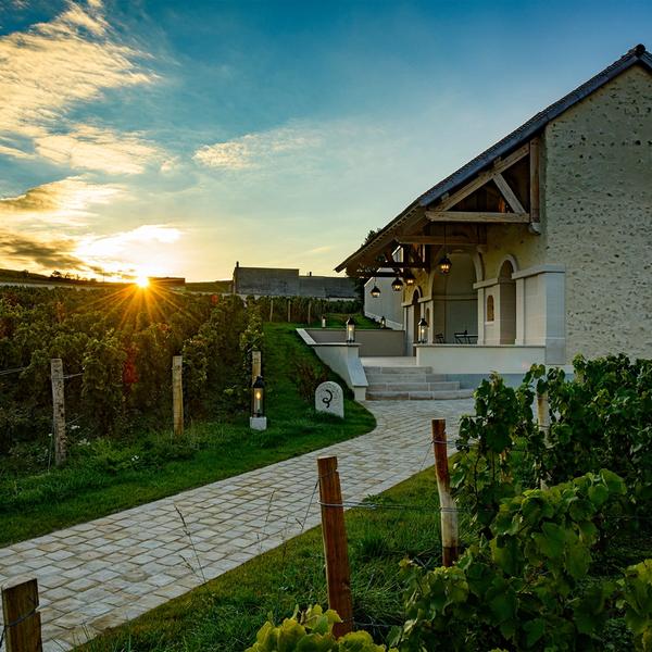 Return to roots: Billecart-Salmon's top cuvée contains past, present and future | Gentleman's ...