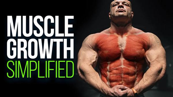 Muscle Growth Simplified!