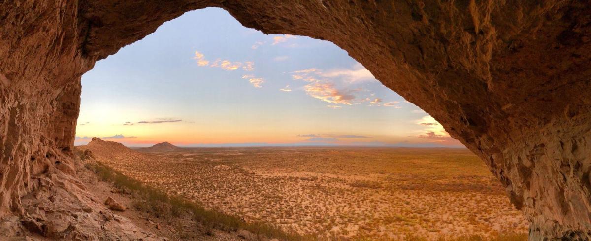 Turtle Conservancy | Programs | Bolson Tortoise Ecosystem Preserve