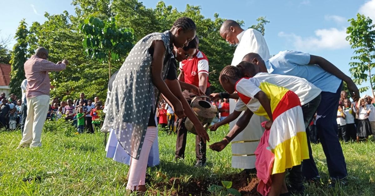 FAQ - Blessed Generation: Frequently Asked Questions