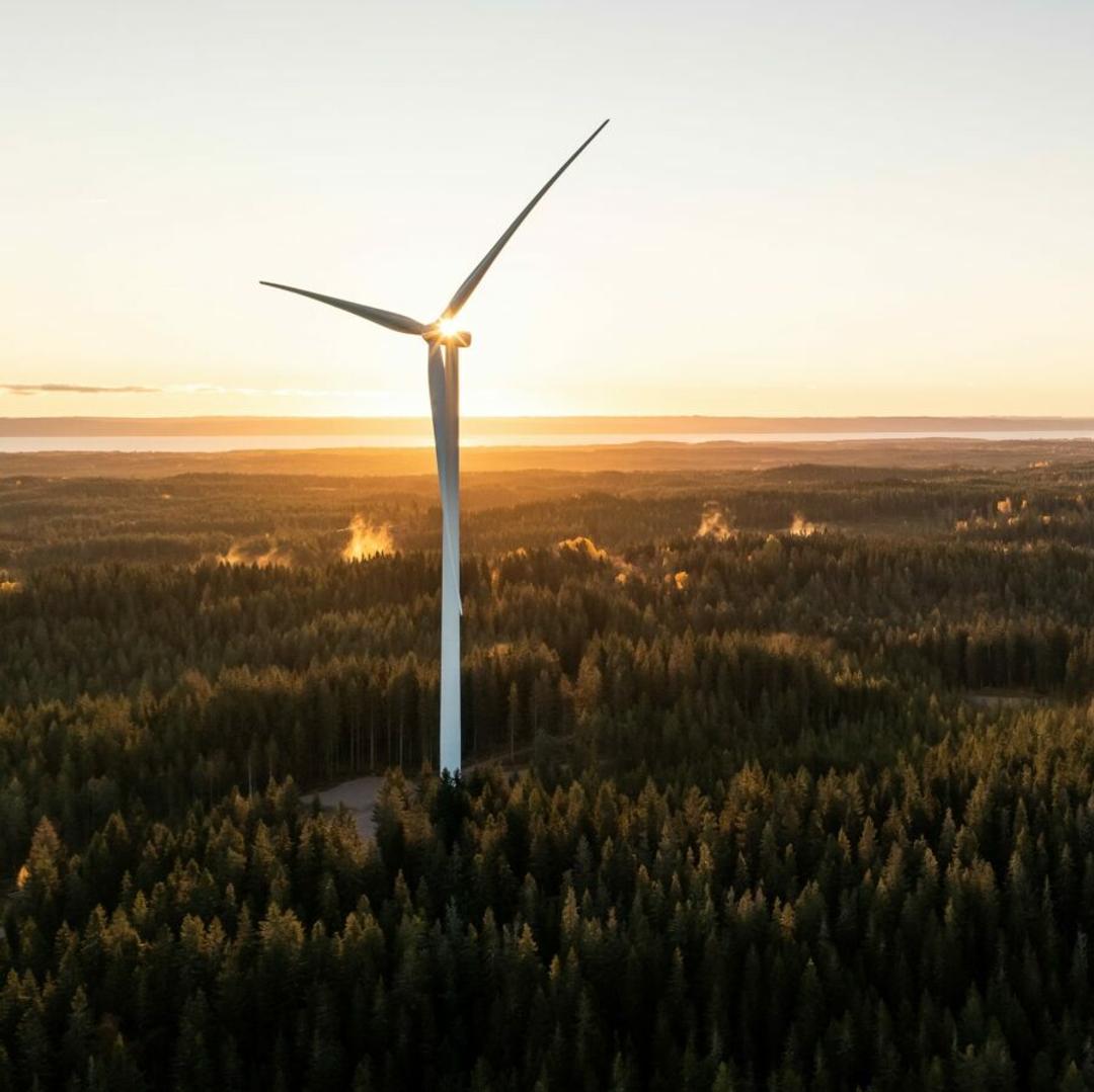 Newsec advises OX2 on sale of wind farm