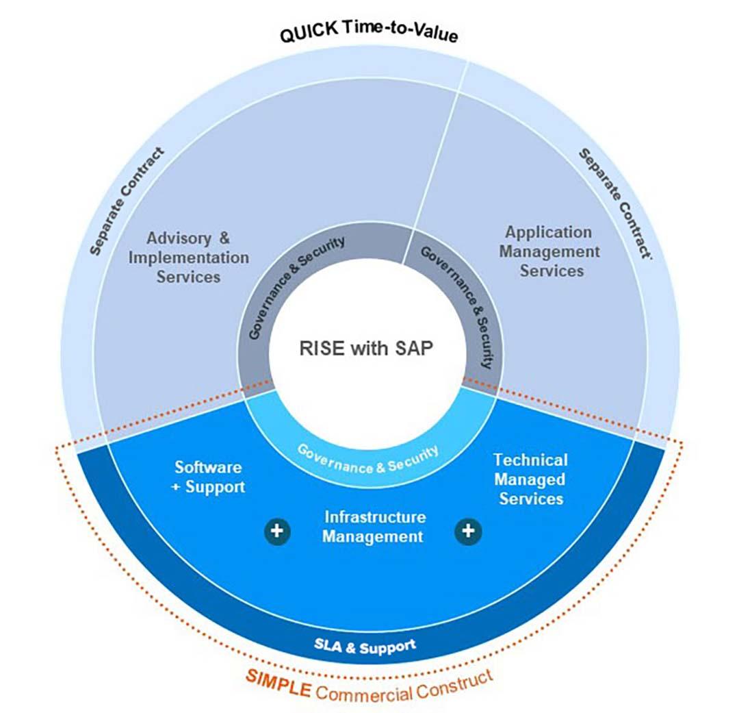 SAP HXM Strategies: HXM Move - Rise with SAP and Alternatives