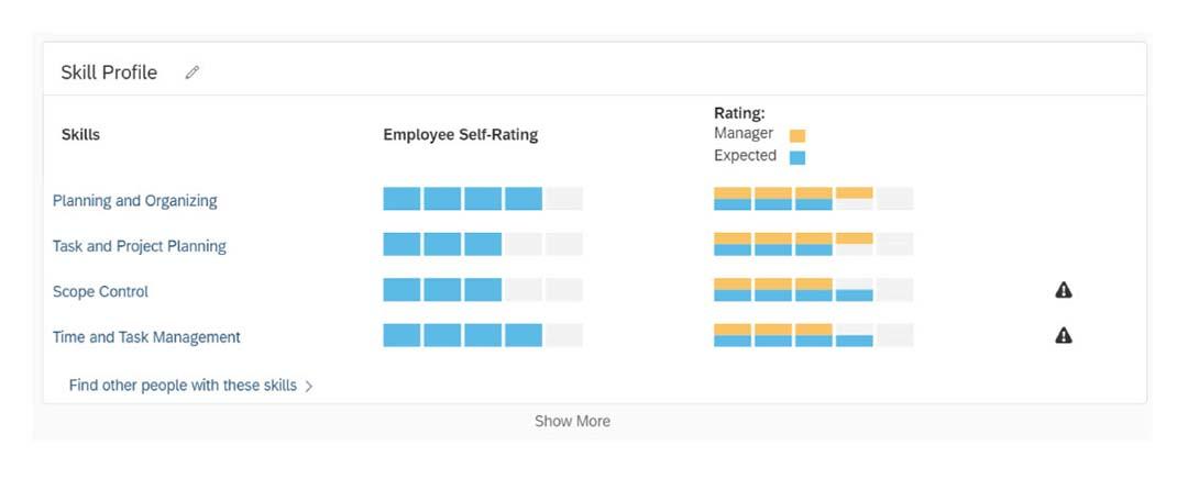 What is SAP SuccessFactors Job Profile Builder & how to set it up?