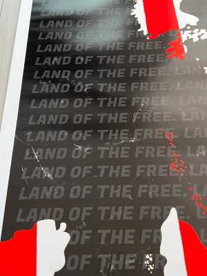 Josie Bellini Free Ross Poster 2019 RARE #1/10 Large 30" x 40 ...