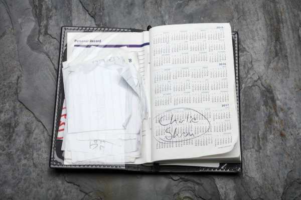 Charlie Shrem’s Prison Journal – “A New Beginning” (2015) | Scarce City